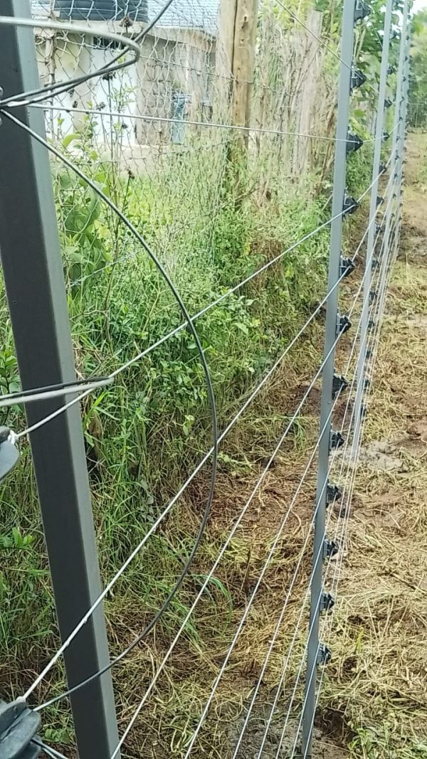 Electric Fence – Macmath Signature Limited